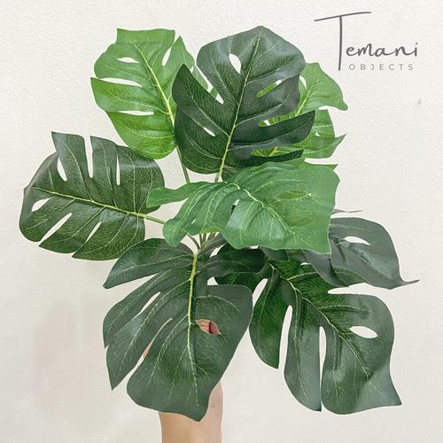 Jual Tanaman Artifical Hijau /Bunga Kering Dried Flower / Monstera Leaf ...