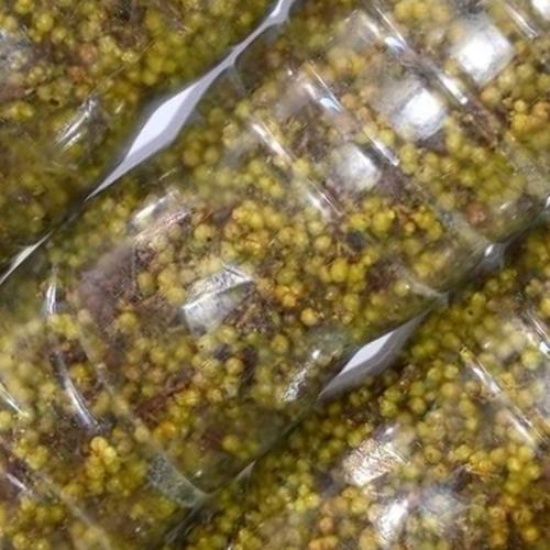Jual andaliman segar 100 gram - Kota Surabaya - Ratu Laut | Tokopedia