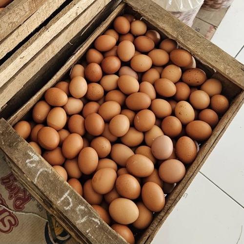 Jual TELUR AYAM NEGERI FRESH 1 PETI 10KG - Kota Semarang - Groceteria ...