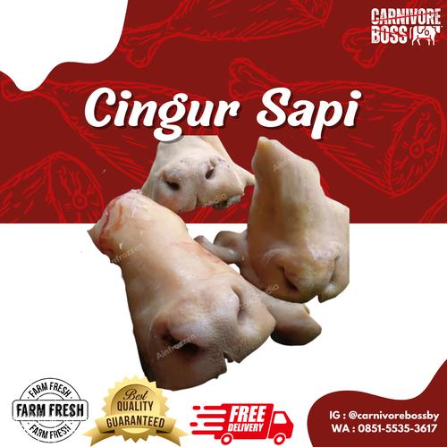 Jual CINGUR SAPI SUPER / CARNIVORE BOSS / CINGUR SAPI SEGAR REBUS ...