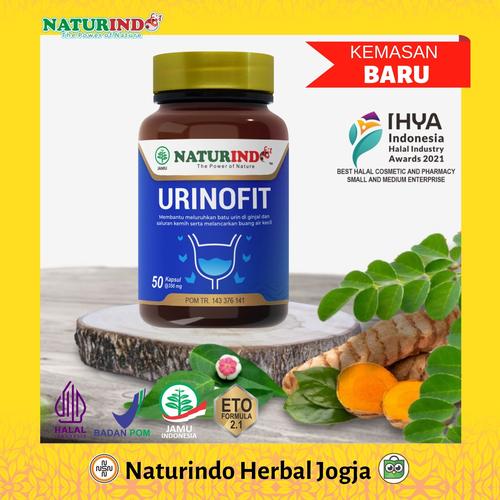 Jual Obat Herbal URINOFIT Naturindo (Spesial Ginjal) - Kab. Sleman ...