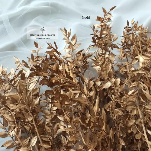 Jual 25 gr Preserved Ruscus Ruskus / Dried Flower Awetan / Bunga Kering ...