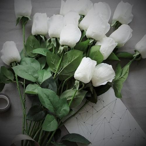 Jual Bunga mawar segar/tangkai_bucket mawar wisuda murah bandung ...