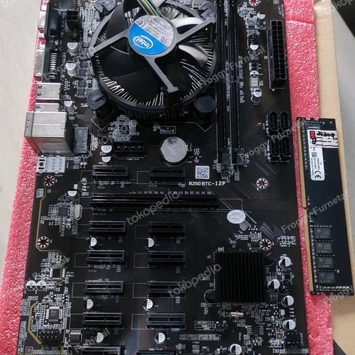 Jual Mobo BTC-B250 + CPU Intel G4560 + Ram 4GB - Kota Surabaya - Froggy ...