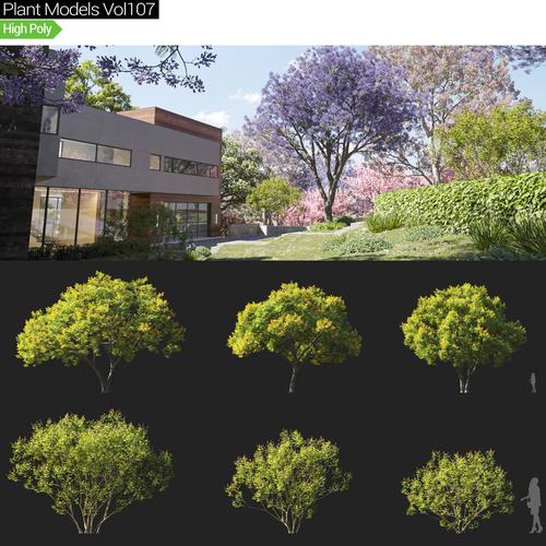 Jual Maxtree Plant Models Vol 107 - Kota Manado - ANAK TEKNIK SHOP ...