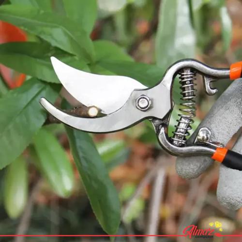Jual Gunting Tanaman 8 Inch Alat Pemotong Dahan Ranting Tangkai Pohon ...