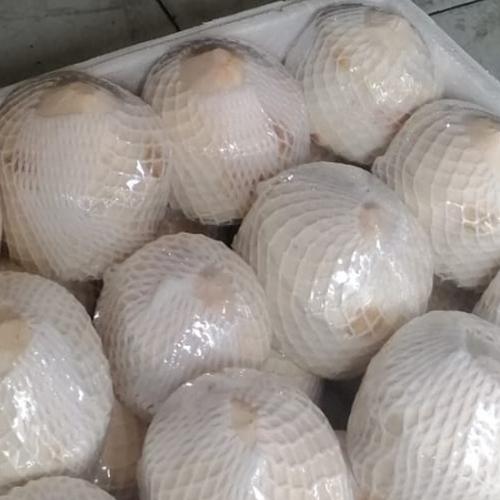 Jual kelapa muda kupas diamond murah segar - Jakarta Timur - HANDZAKA ...
