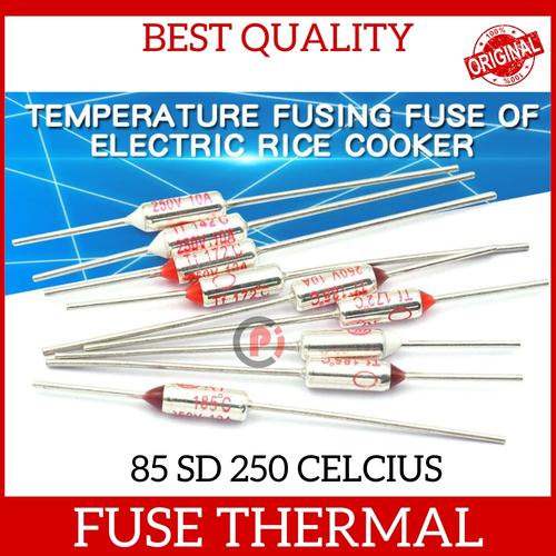 Jual Fuse Thermal Thermofuse 10A 250 Volt Banyak Ukuran Celcius ...