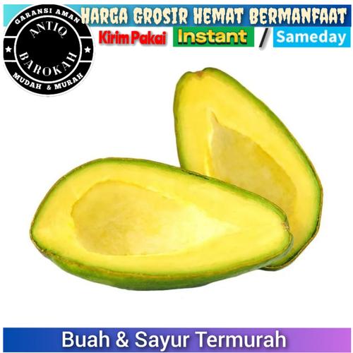 Jual Alpukat Mentega Jumbo Besar Super Segar Fresh Kuning Bergaransi ...