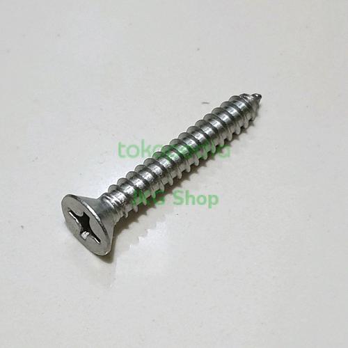 Jual Sekrup Skrup tapping screw stainless SUS 304 FH 12 x 1 1/2 kepala ...
