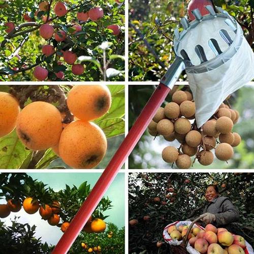 Jual Alat Petik Pemetik Buah Logam Untuk Pertanian / Kebun / Alat Petik ...