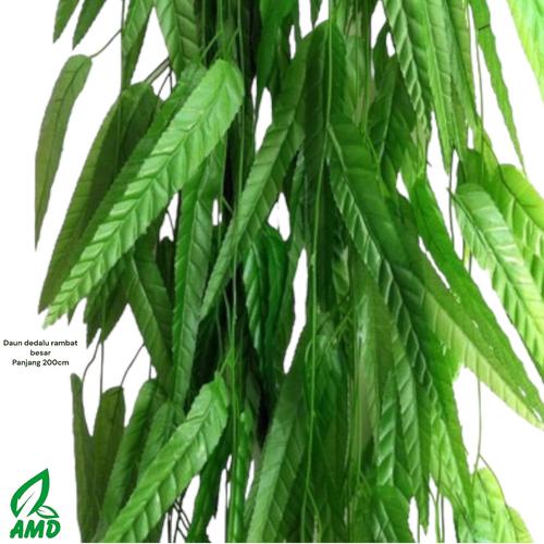 Jual Daun Dedalu Rambat Panjang 180cm dan 220cm Premium - Kota ...