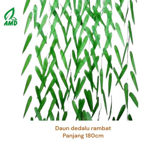 Jual Daun Dedalu Rambat Panjang 180cm dan 220cm Premium - Dedalu Kecil ...