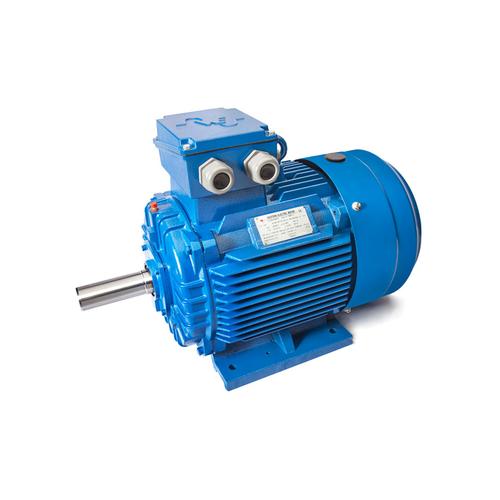 Jual Western Electric Induction Motor 1D-160M2-2 - Jakarta Pusat ...