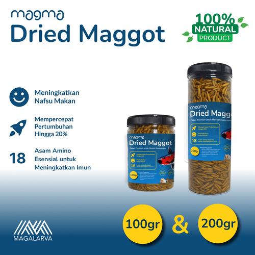 Jual Dried Maggot Kering BSF 1Kg Kualitas Premium Grade A 100 & 200 gr ...