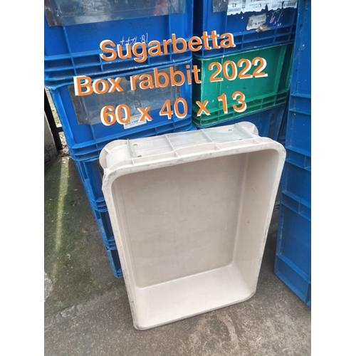 Promo Box rabbit super plastik pasir kucing 2022/Box container plastik ...