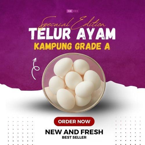 Jual TELUR KAMPUNG GRADE A UKURAN BESAR /BUTIR - Jakarta Barat - SB ...