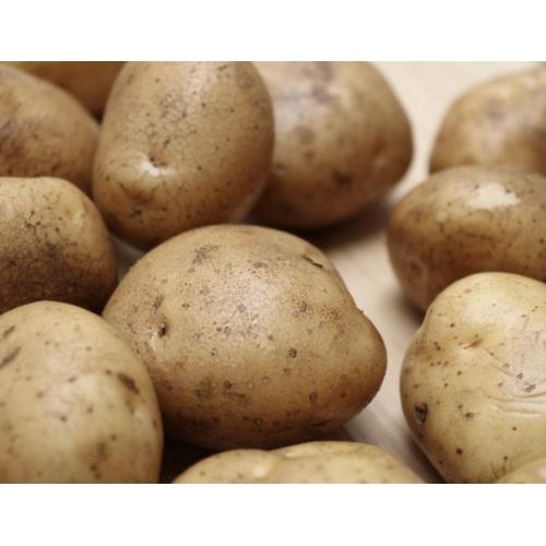 Jual Kentang - Fresh | Lezat | Sehat - [250 gram] - 250 - Jakarta ...