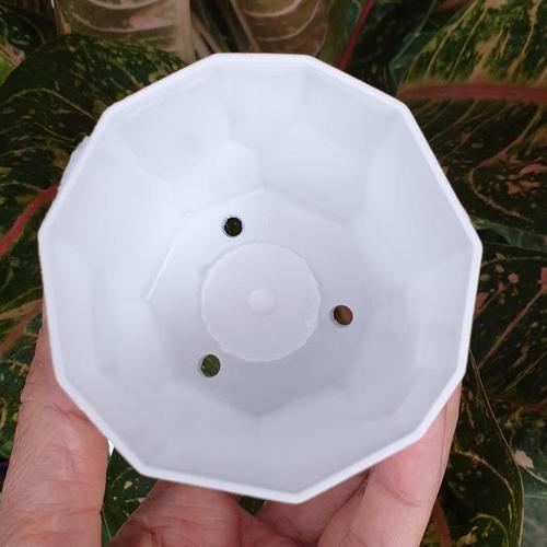Jual Pot Permata putih 8cm pot kecil, pot kaktus, pot mungil cantik ...