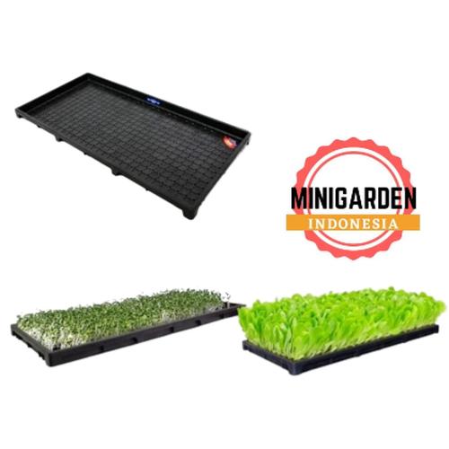 Jual TRAY SEMAI PADI tray semai microgreen rice seedling tray paddy ...