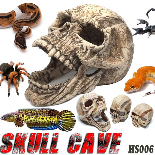 Promo TENGKORAK SKELETON KERANGKA HUMAN ORNAMEN FOSIL HIDING CAVE GUA ...