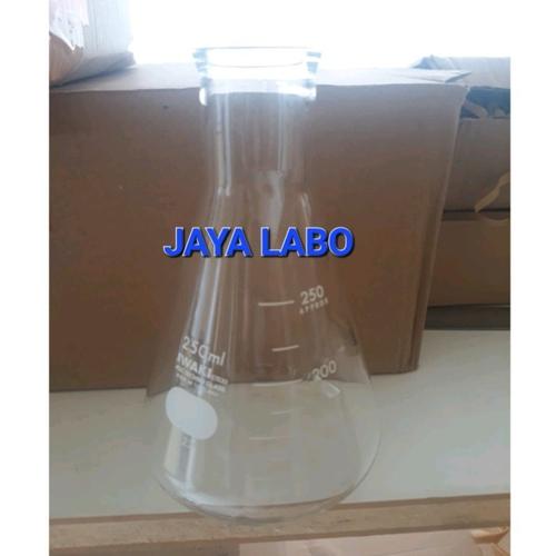 Jual IWAKI ERLENMEYER FLASK Vol. 500ml 4980 CTE.33 / Labu Erlenmeyer ...