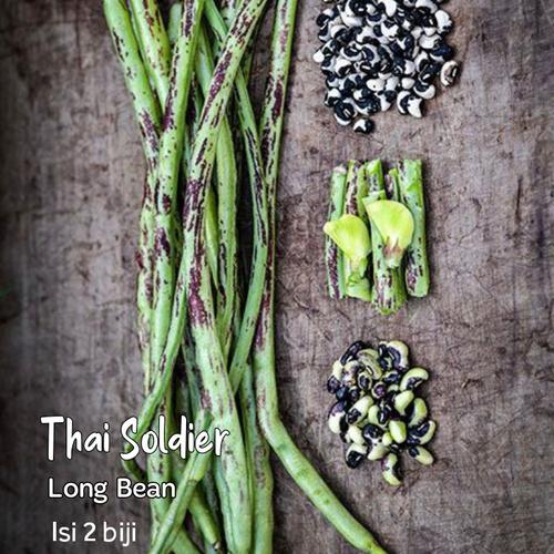 Jual Thai soldier long bean heirloom seeds benih - Kota Cilegon - kebun ...