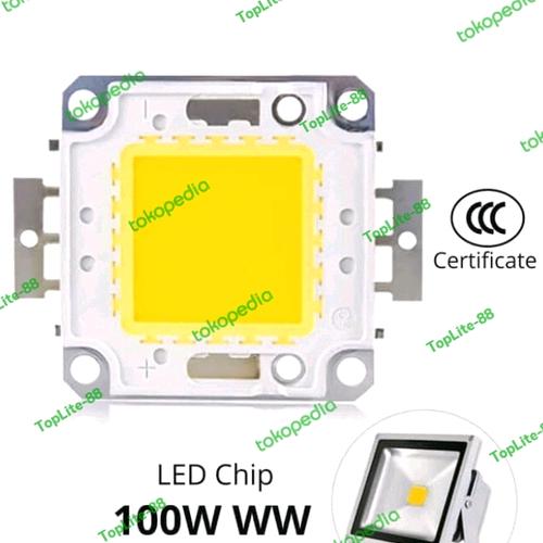 Jual Lampu Sorot Led 100W 100Watt Chips COB Led Epistar Mata Led FloodLight - Putih - Jakarta ...