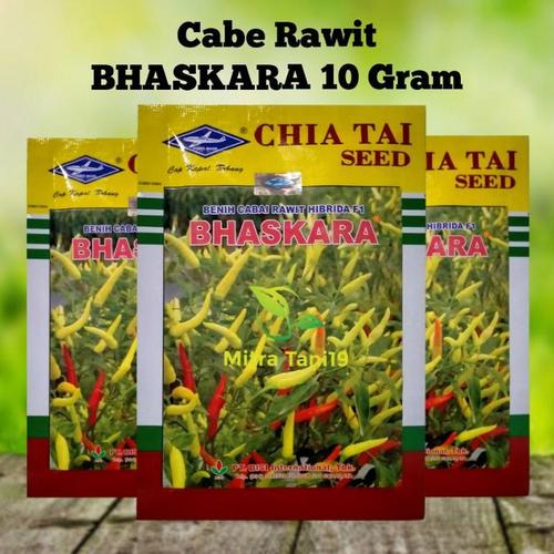 Jual BENIH BIBIT TANAMAN PERTANIAN SAYUR SAYURAN HIDROPONIK CABE CABAI ...
