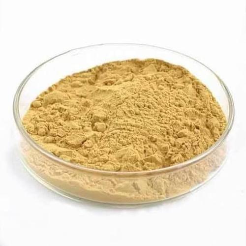 Jual Beef Extract Powder 500 GR/Pure Beef Stock/Kaldu Sapi Bubuk 500 GR ...