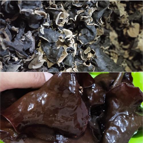 Jual JAMUR KUPING HITAM KERING 1KG - Kota Bekasi - Pempek Palembang ...