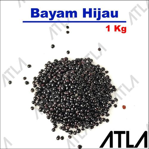 Jual Biji Benih Bayam Hijau 1 kg Bibit Tanaman Bayem Sayuran Kilo Sayur ...