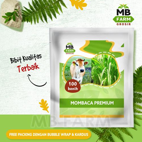 Jual Benih mombaca super F1 isi benih 100 biji MB FARM GROSIR - Kab. Banyumas - MB Farm Grosir ...