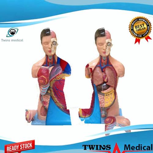 Jual PHANTOM/MANEKIN/MANIKIN TORSO MULTIFUNGSI/DWI FUNGSI - Kota ...