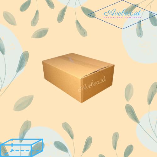 Jual DUS STANDAR UKURAN 50x40x15CM, DOUBLE WALL DAN POLOS - Jakarta ...
