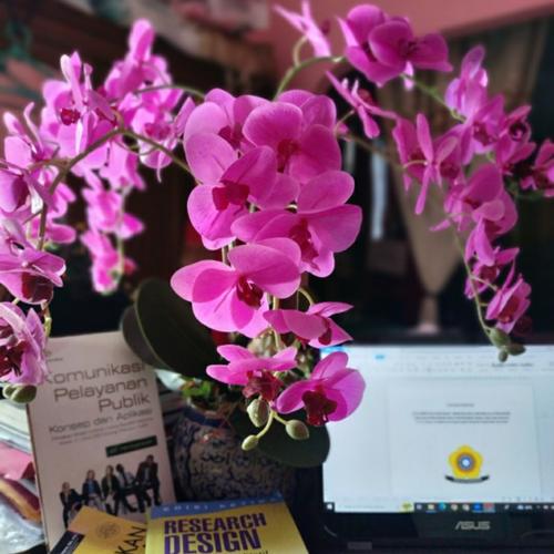 Jual Anggrek Latex Ungu / Anggrek Bulan / Bunga Anggrek Artificial ...