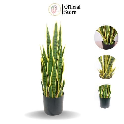 Jual Tanaman Hias Pot Pohon Lidah Mertua Plastik Artificial Dekorasi ...