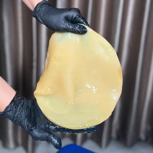 Jual jamur teh kombucha super - scobby+starter - Kota Surabaya - Ms ...