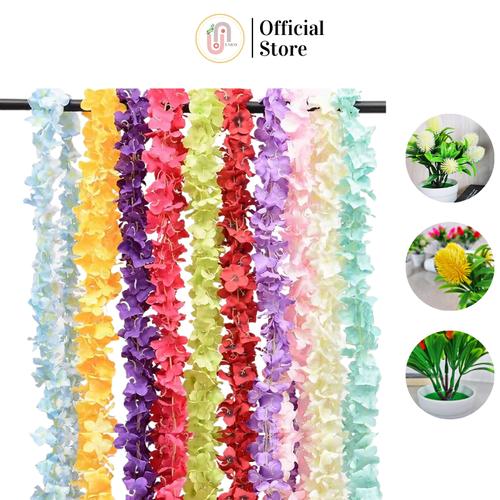 Jual Tanaman Hias Bunga Rambat Dekorasi Dinding Indoor Outdoor ...