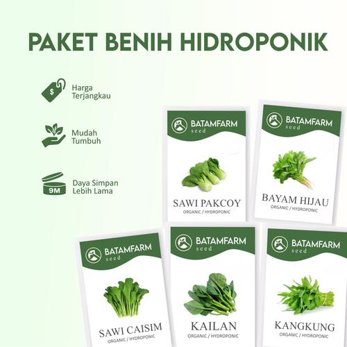 Jual Paket 12 jenis benih eceran ( kangkung, sawi, bayam, selada ...