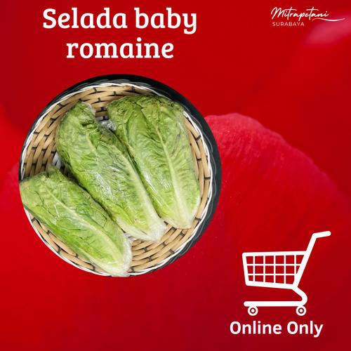 Jual Selada baby romaine segar, sayur selada baby romaine, baby romaine ...