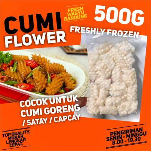 Jual CUMI FLOWER IMPOR CALAMARI FRESH Squid Kembang Seafood Premium ...
