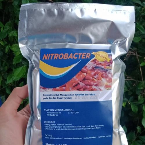 Jual Nitrobac nitrobacter probiotik ikan kolam koi 50 gram - Nitro.B ...