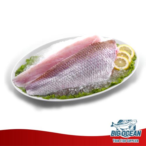 Jual Anggoli Fillet | Kakap Anggoli Fillet @1kg - Jakarta Barat - Big ...