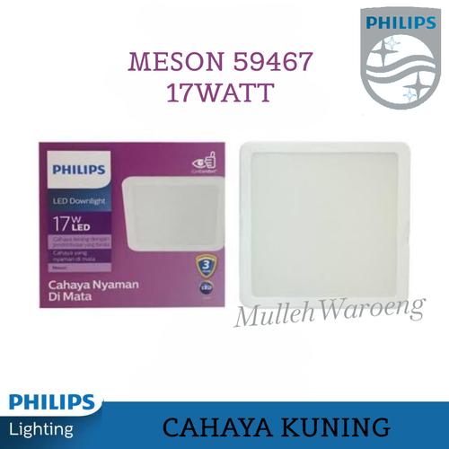 Jual CEILING LIGHT PHILIPS LED MESON SQUARE KOTAK 17W 17 W WATT SQ 165 ...