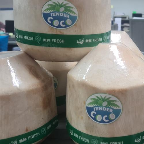 Jual kelapa muda kupas diamond ukuran besar di wrapping - Jakarta Barat ...