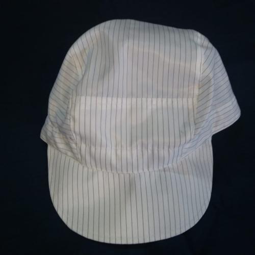 Jual ESD Hat Antistatic Baseball - Kota Bekasi - Dunia Antistatic ...