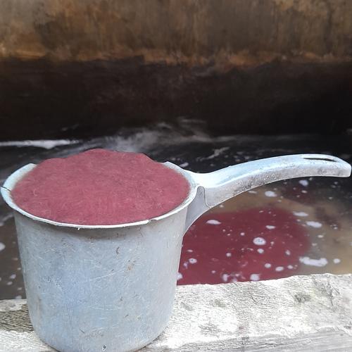 Jual Casut Cacing Sutra Cacing Rambut Segayung - Kota Depok - MZ Fish ...