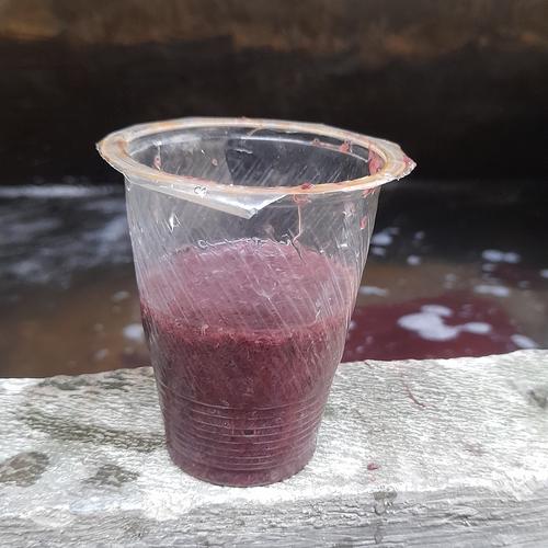 Jual cacing sutra cacing rambut casut hidup - Kota Depok - MZ Fish ...