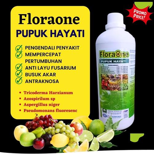 Jual Tricoderma Obat Layu Fusarium Pada Cabe Pisang, Fungisida Trichoderma - Kab. Kebumen ...